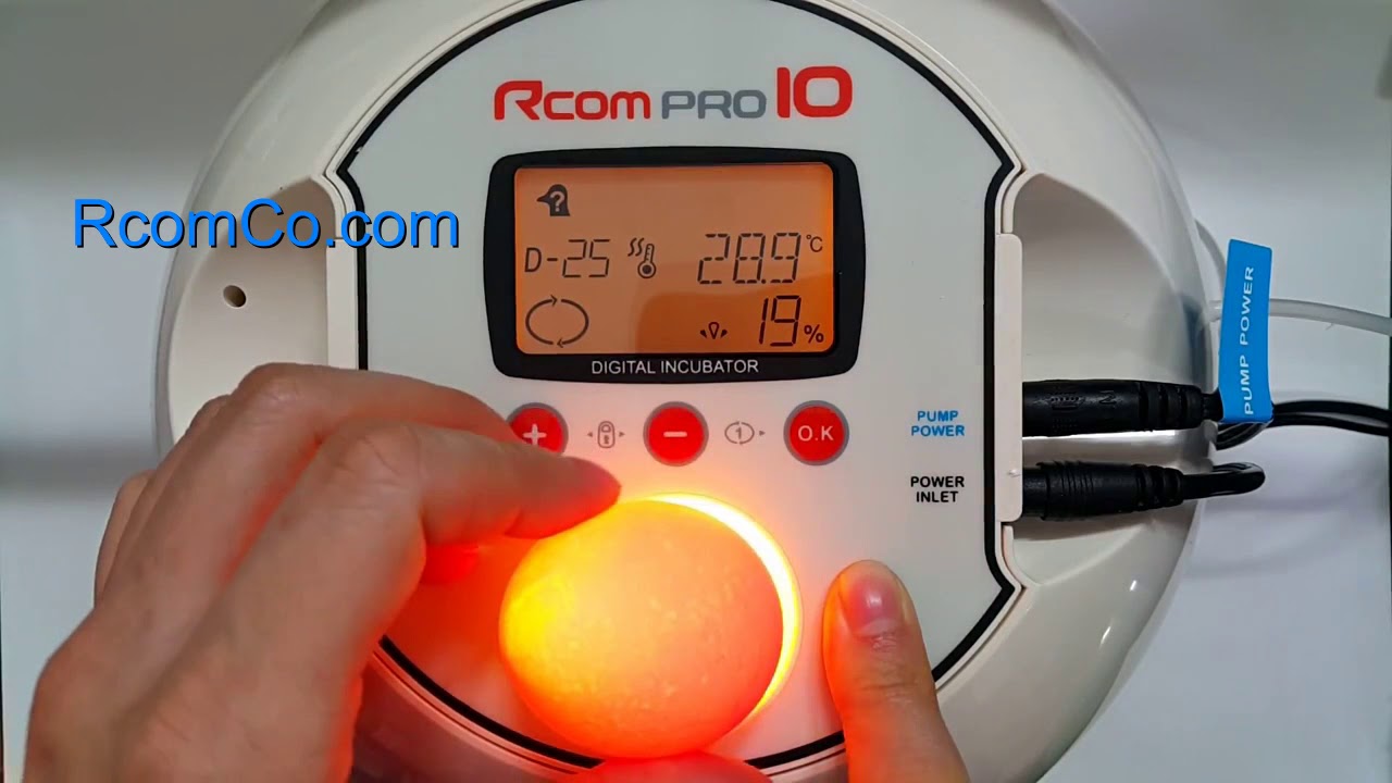 Egg Incubator Hatcher Rcom Px10 plus User Manual - YouTube