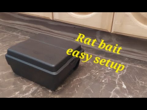 How to use and setup Rat mouse bait box trap - YouTube