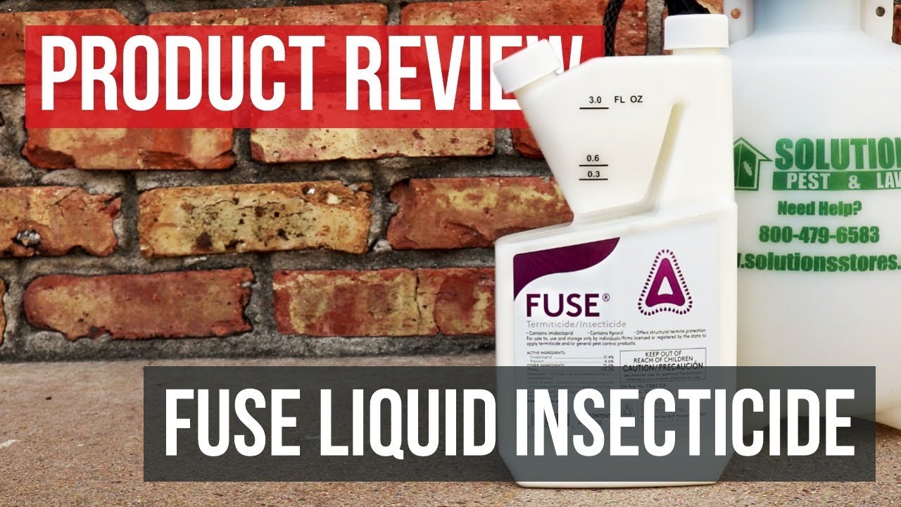 Fuse: Product Review - YouTube