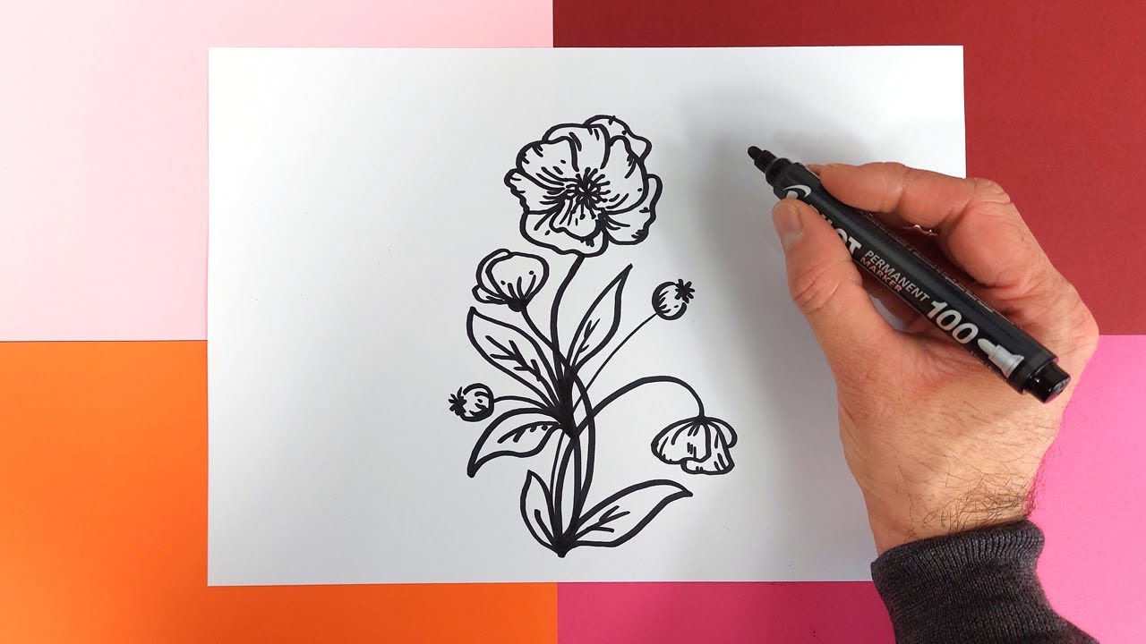 Comment dessiner un coquelicot ? - YouTube