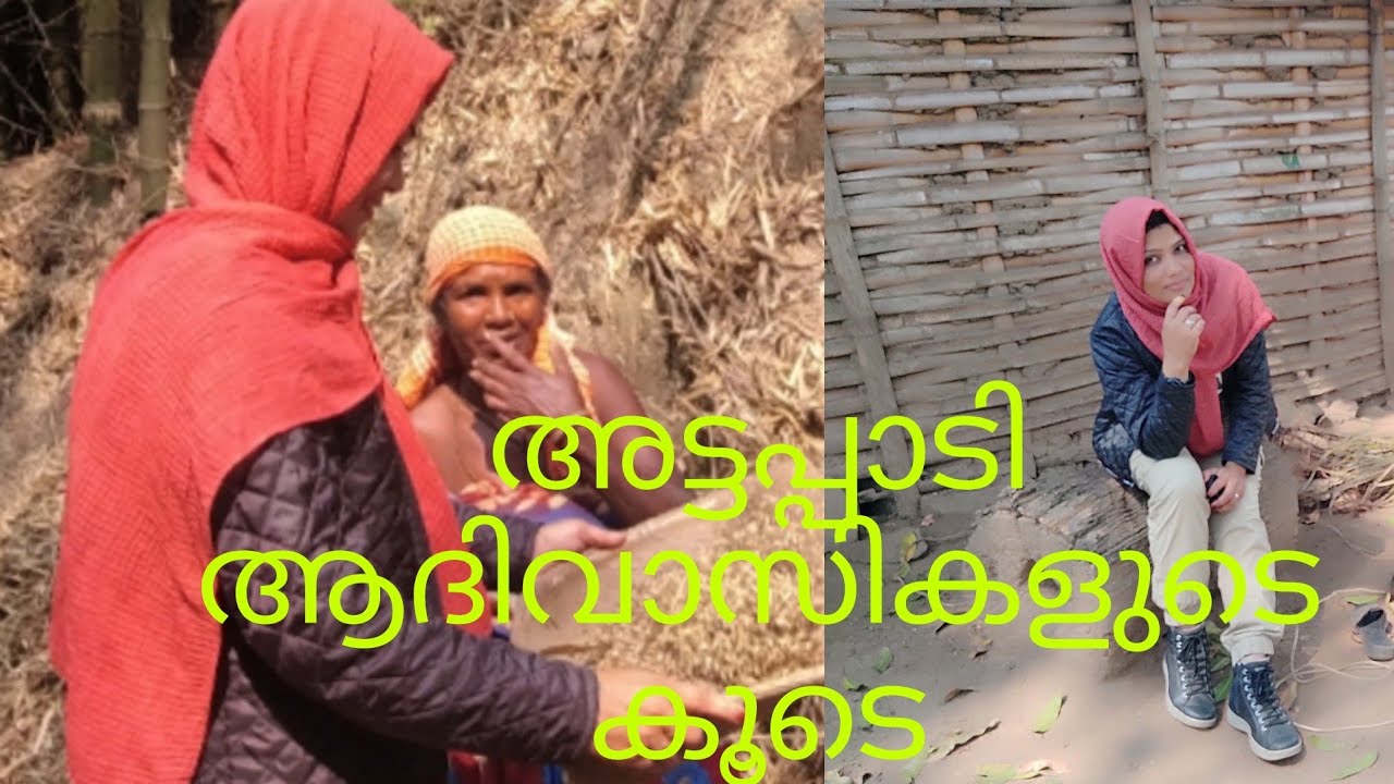 Tribal Village Kerala/Attappadi/ആദിവാസി ഊര് തേടി ഒരു യാത്ര - YouTube