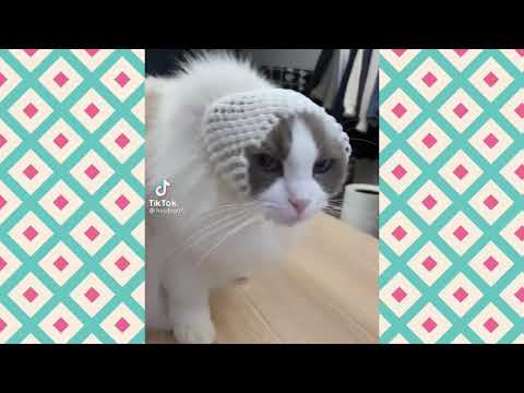 TikTok'ta Bugün En Çok İzlenenler! #4