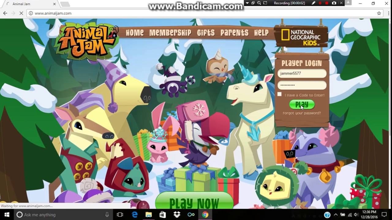 Bandicam test: Animal Jam Gameplay - YouTube