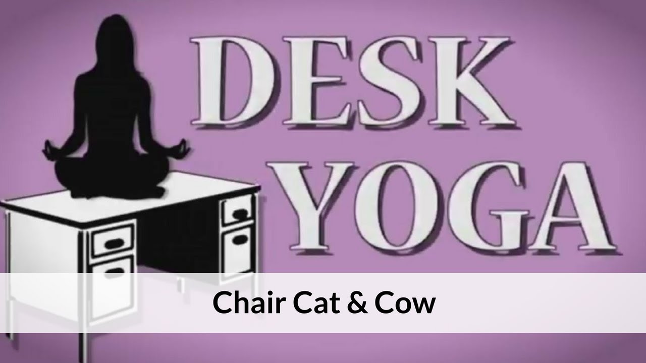 Desk Yoga: Chair Cat & Cow - YouTube