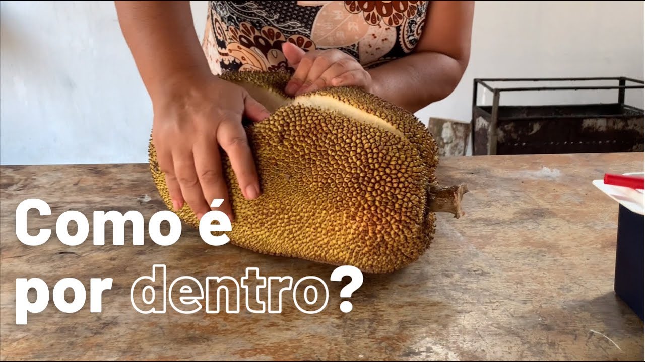 ABRINDO UMA JACA INTEIRA - YouTube