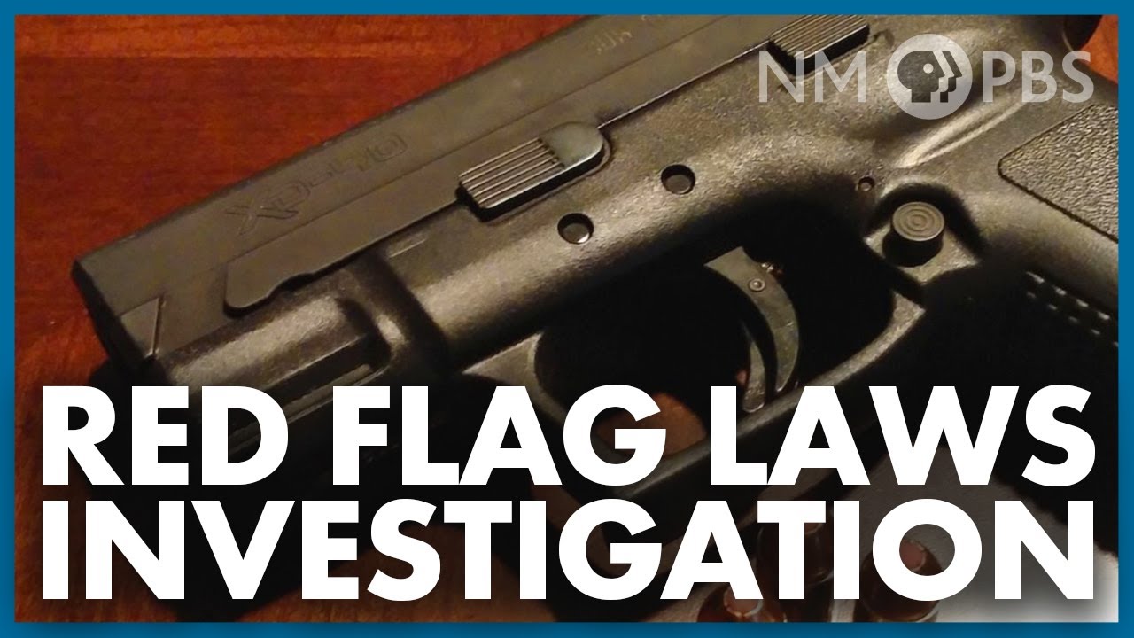 Red Flag Laws Investigation | The Line - YouTube