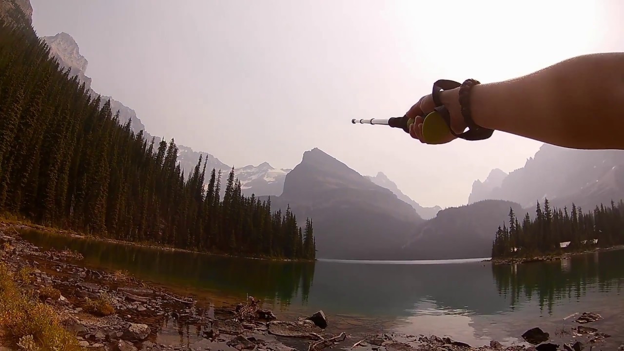 Wiwaxy Gap Alpine Trail Yoho - YouTube