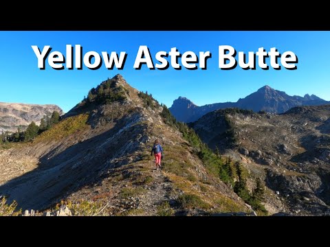 Hiking Yellow Aster Butte - Alpine Fall Color! - YouTube