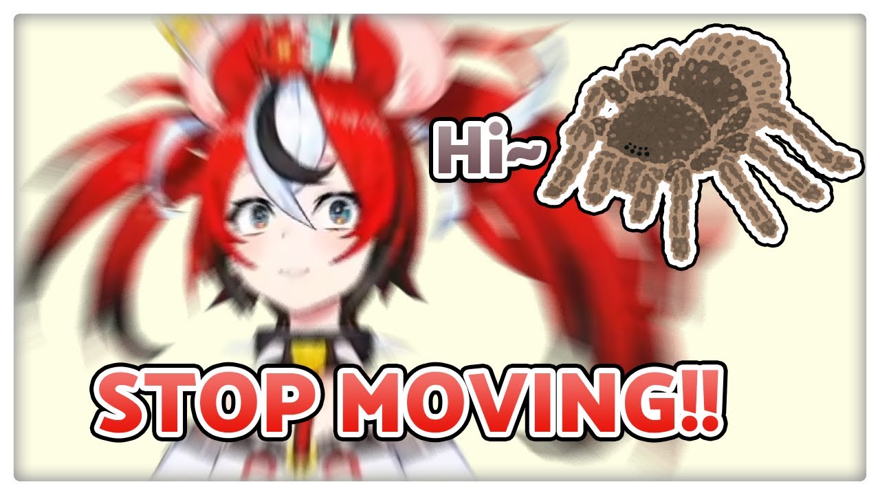 𝐁𝐀𝐄 And Spider On The Wall【Hololive Clip / Eng Sub】 - YouTube