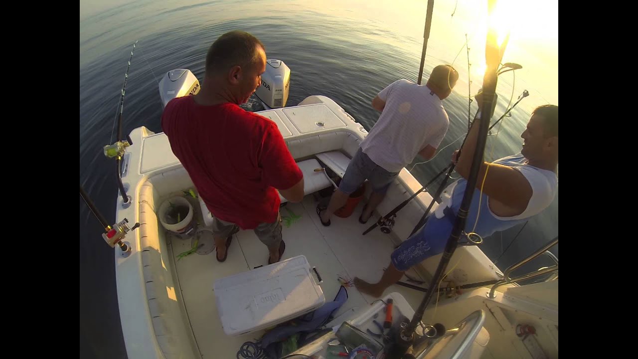 mako shark on hook - YouTube