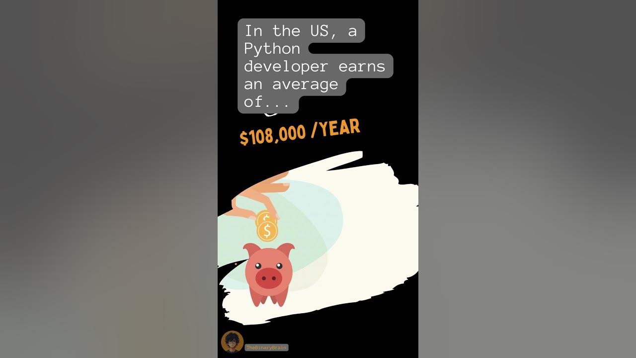 How Much Do Python Developers Really Earn in the US? 💰🐍 - YouTube