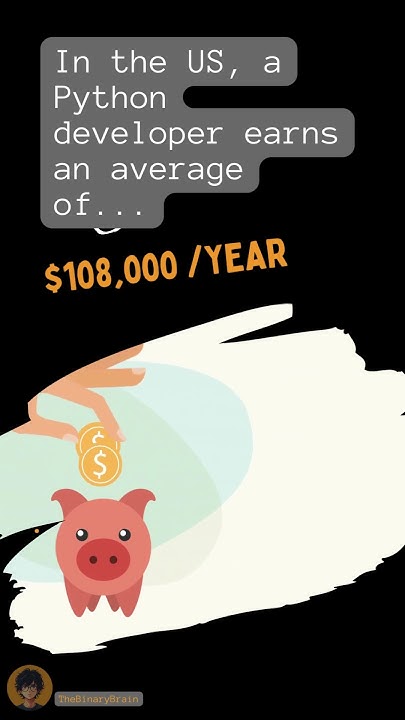 How Much Do Python Developers Really Earn in the US? 💰🐍 - YouTube