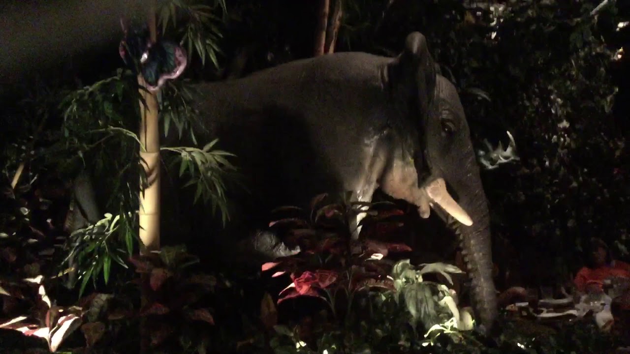 Rainforest cafe elephant - YouTube