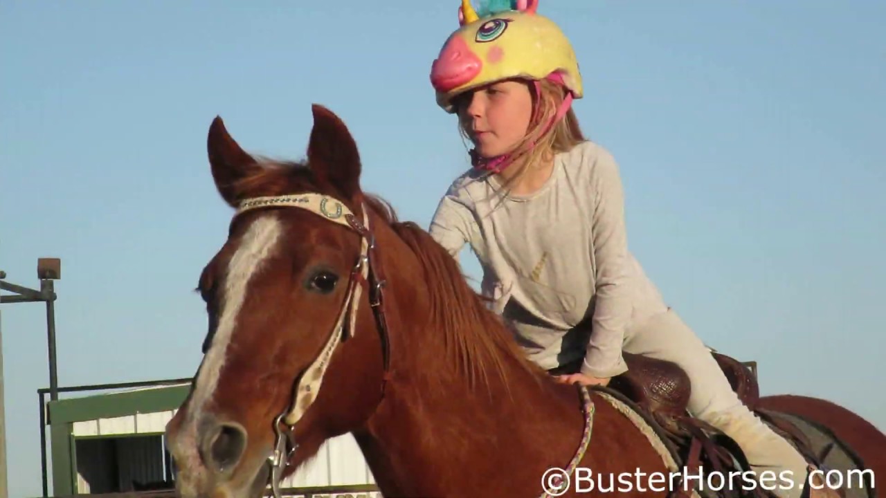 CD Lady Olena - finished solid youth cutter - $20,500 NCHA earnings ...