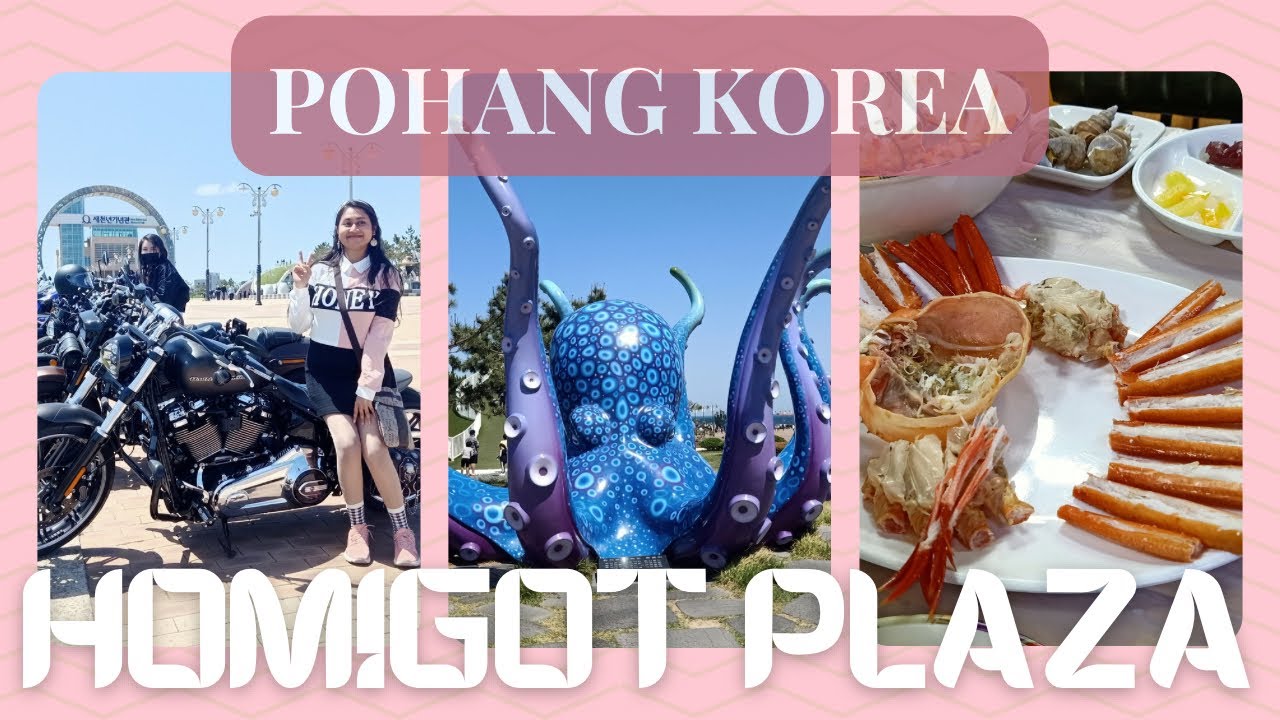 Pohang Travel Vlog| Homigot Sunrise Plaza| Outside Seoul Vlog| Red Snow ...