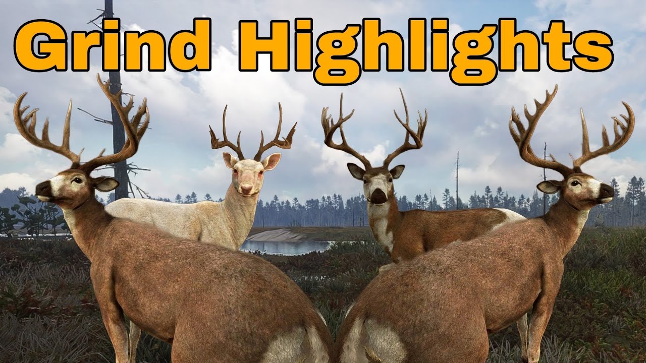 Revontuli Whitetail Grind Highlights! 2475 Kills | 48💎 | 10 Rares | 17 ...