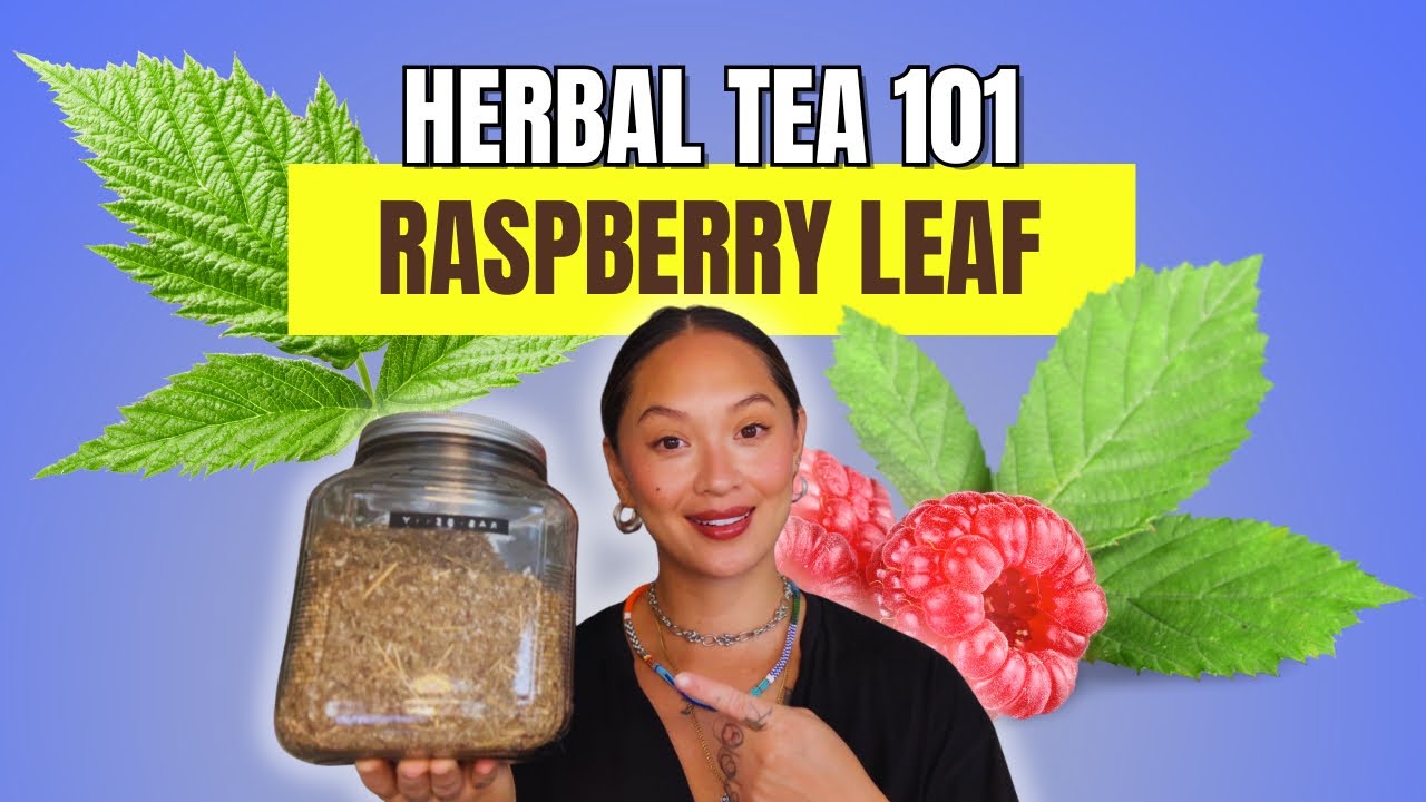 Raspberry Leaf Tea 101 | Benefits & How To Use - YouTube