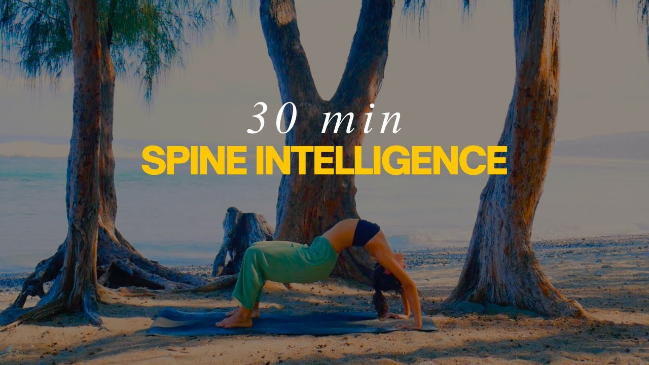 spine intelligence - 30 min yoga - YouTube