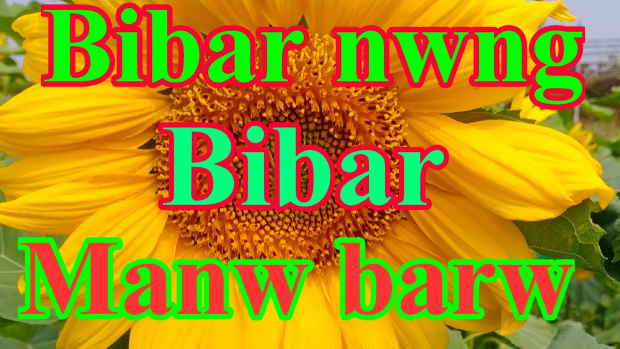 #NB Basumatary // Bibar Nwng Bibar Manw Barw // Bodo Song - YouTube