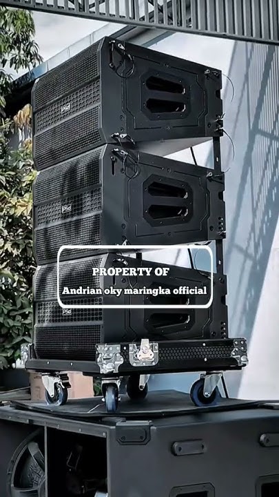 psd line array 12 inch #fyp #viralvideo #shorts #youtubeshorts # ...