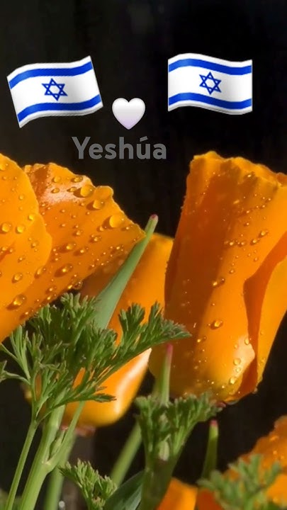 Yeshúa.ותקרא את שמו ישוע,y llamarás su nombre JESÚS - YouTube