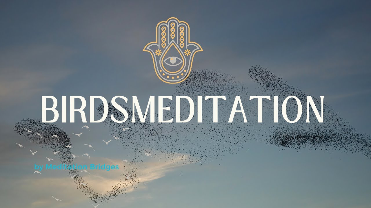 Birds Meditation - YouTube