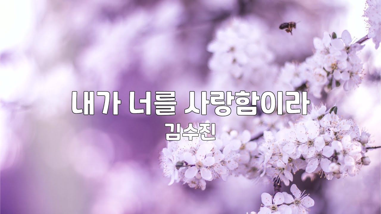내가 너를 사랑함이라 김수진 3번듣기 Youtube