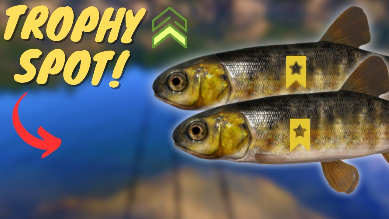 TROPHY COMMON MINNOW SPOT IN KUORI LAKE! | #721 Russian fishing 4 - YouTube