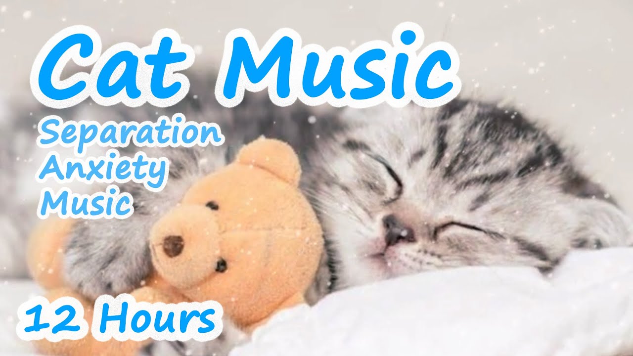 Calming Music for Cats with Anxiety! Deep Soothing Music for Anxious ...