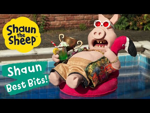 Celebrity Pig | Shaun the Sheep Best Bits Season 6
