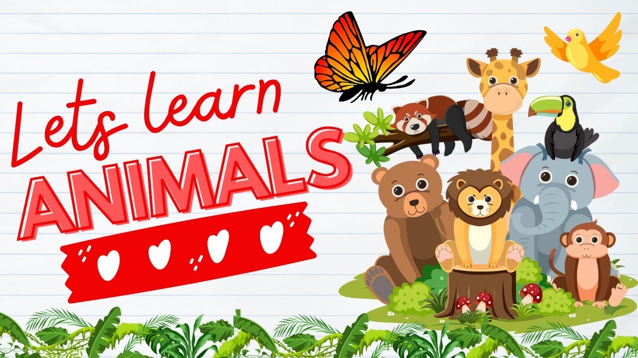Animals name for kids| lets learn Animals name |Animals lovers - YouTube