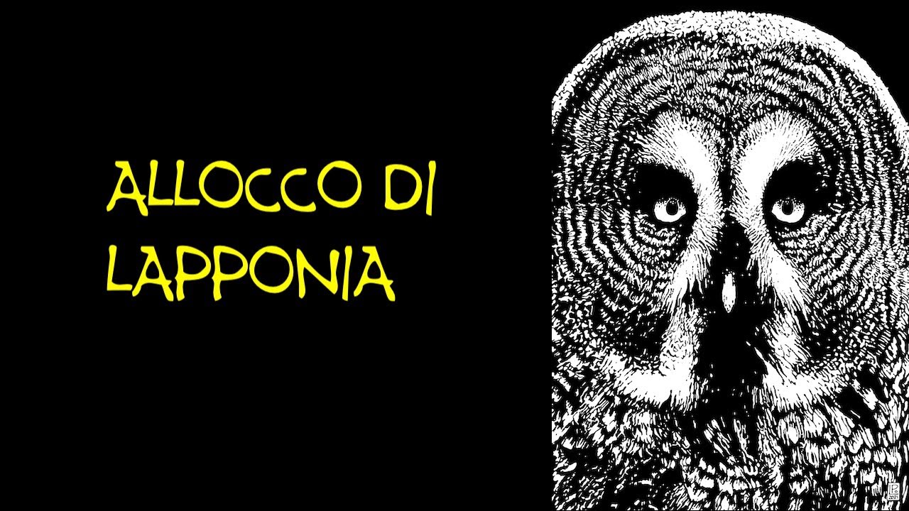 ALLOCCO DI LAPPONIA - YouTube