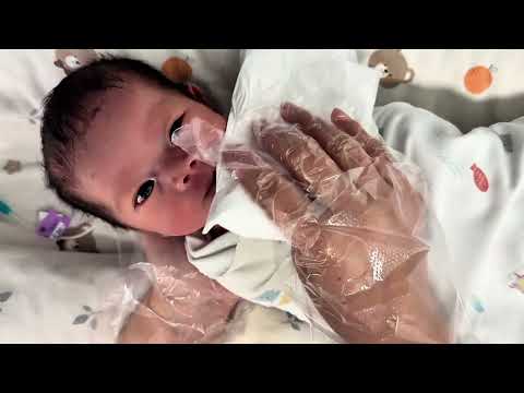 Feeding Time Receiving gentle feeding and loving care from a dedicated nurse ❤️🩺 #Newborn #NICUCare