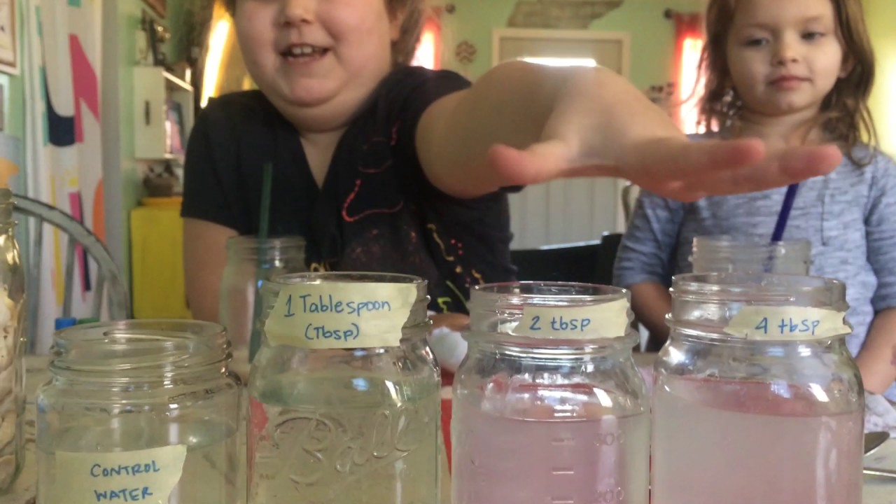 The salt water experiment - YouTube