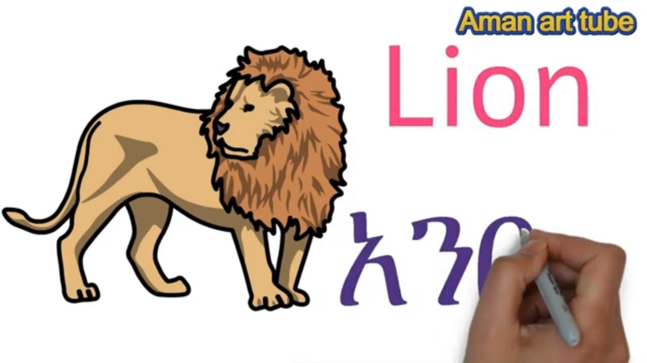 የእንስሳት ስም በአማርኛ Animal`s name in amharic ethiopian language learn ...