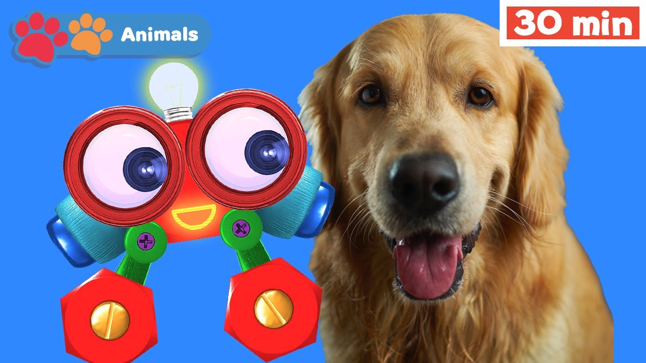 Toddlers Learn Animals w Robi the Robot | Dog | Giraffe & More ...