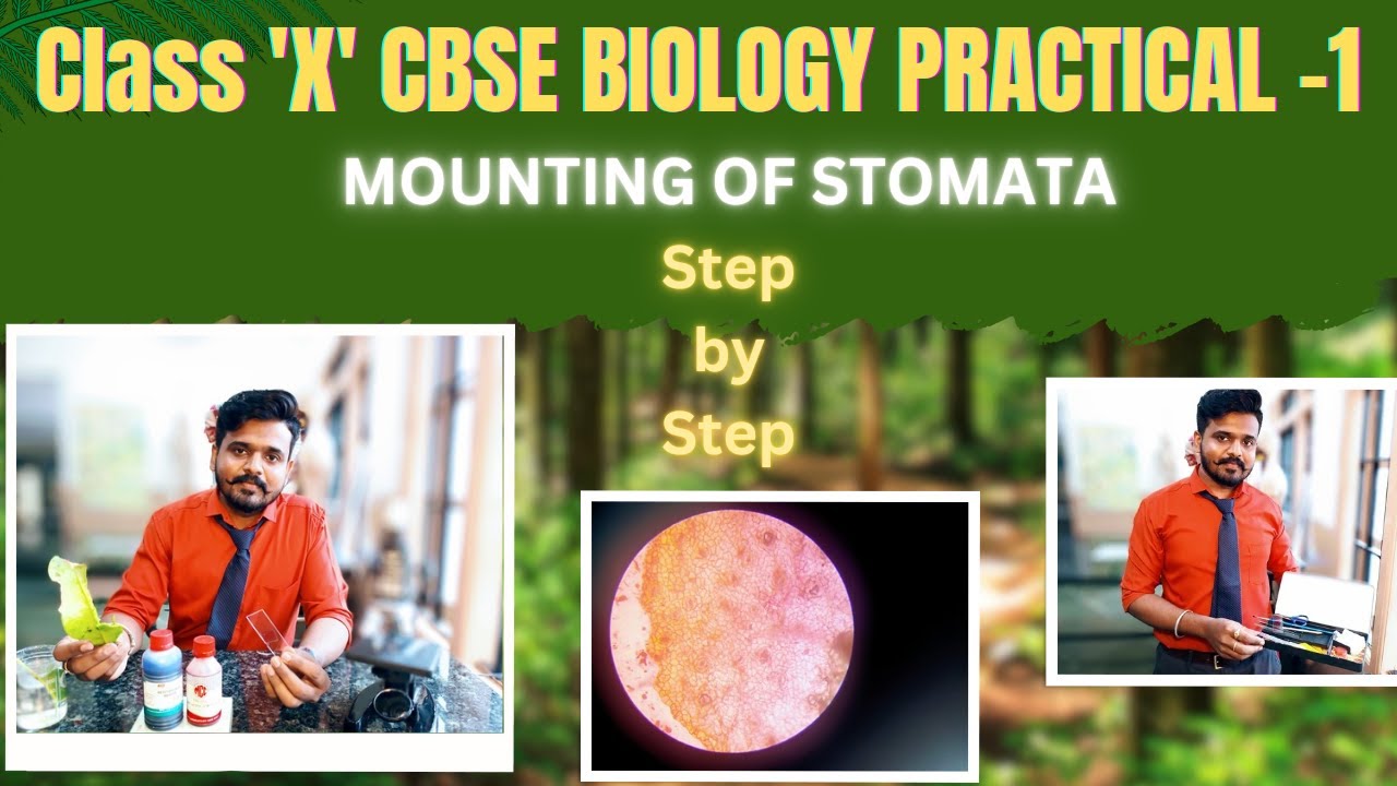 Class 10 CBSE Science Practical: Exploring Stomata Under the Microscope ...