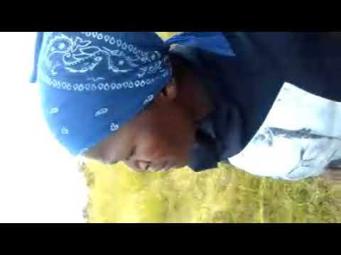 Go Tseba mang - YouTube