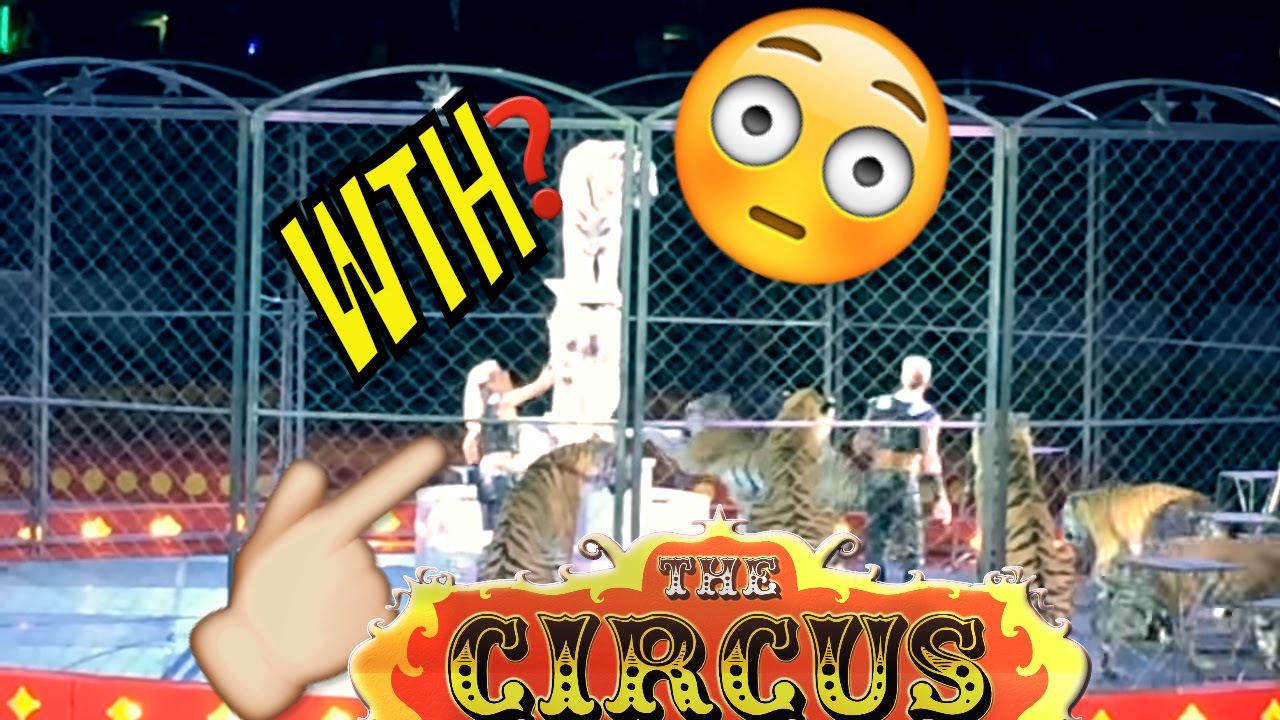 The Circus AND Peta Human Cannonball SLOW MOTION 2017 - YouTube