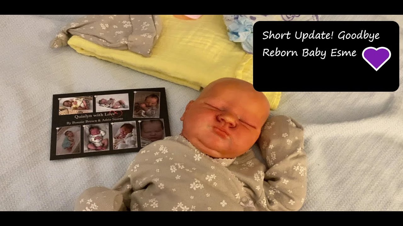 Short Update! Goodbye Reborn Baby Esme 💜 - YouTube