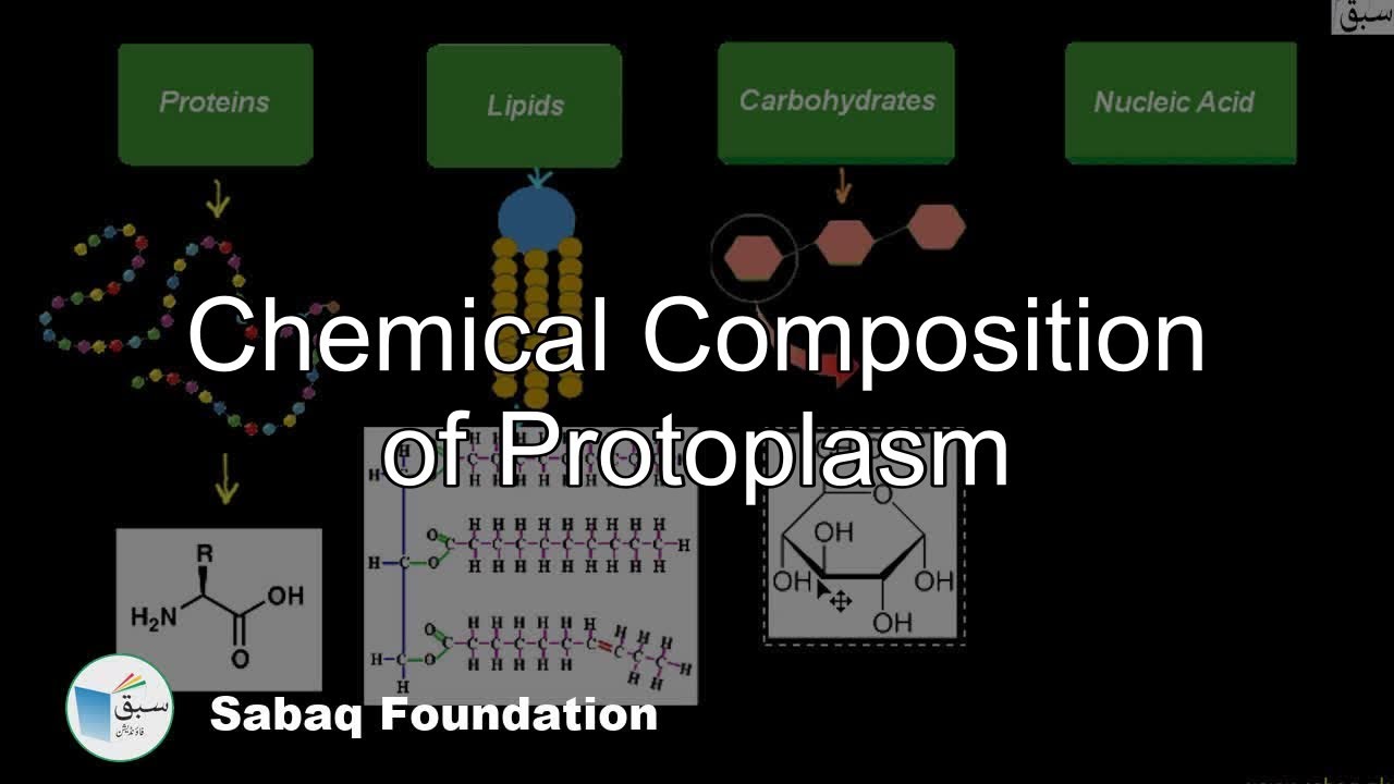 Chemical composition of protoplasm, Biology Lecture | Sabaq.pk - YouTube