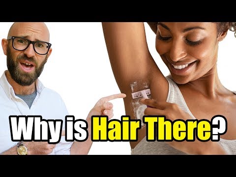 Why Do Humans Still Have Pubic and Armpit Hair When We've Lost Most of the Rest?