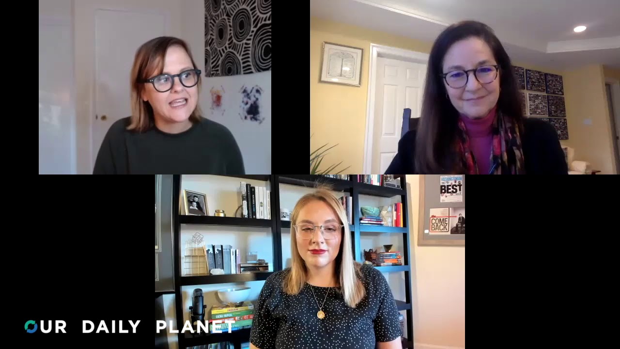 Climate Power 2020's Lori Lodes Talks Georgia and Climate Goals for 2021 | Our Daily Planet ...