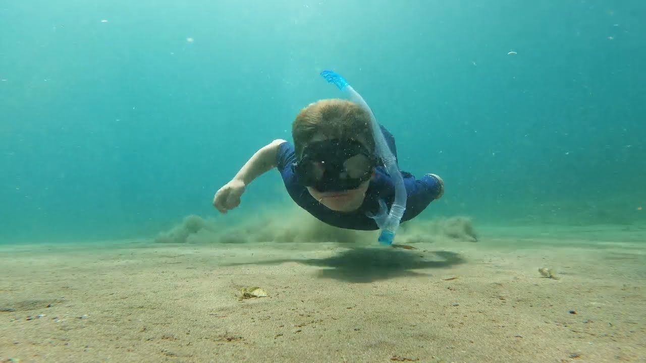 Plongée sous-marine Côte d'Azur (Diving French Riviera) AIR2S / GOPRO10 ...