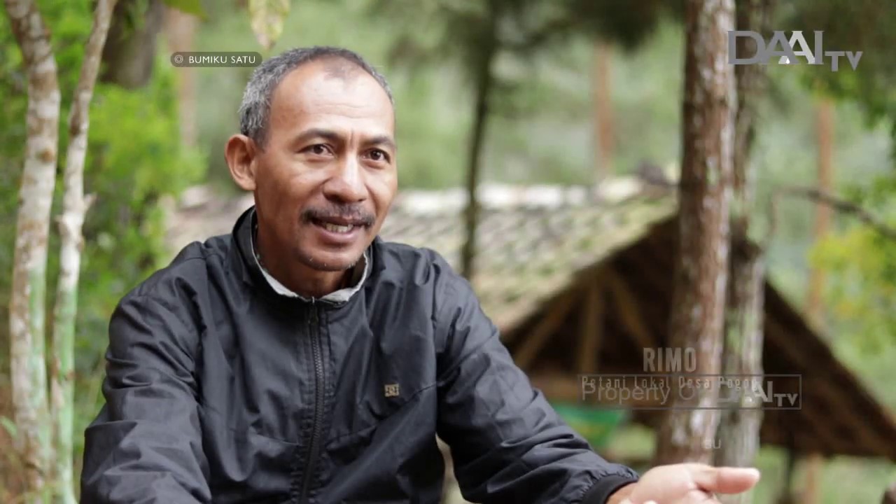 MENGUBAH TANDUS DESA POGOG - BUMIKU SATU DAAI TV - YouTube