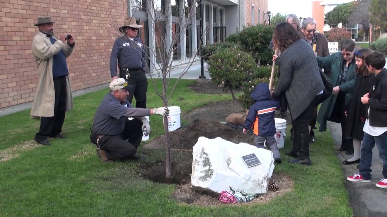 Heidi Memorial - YouTube