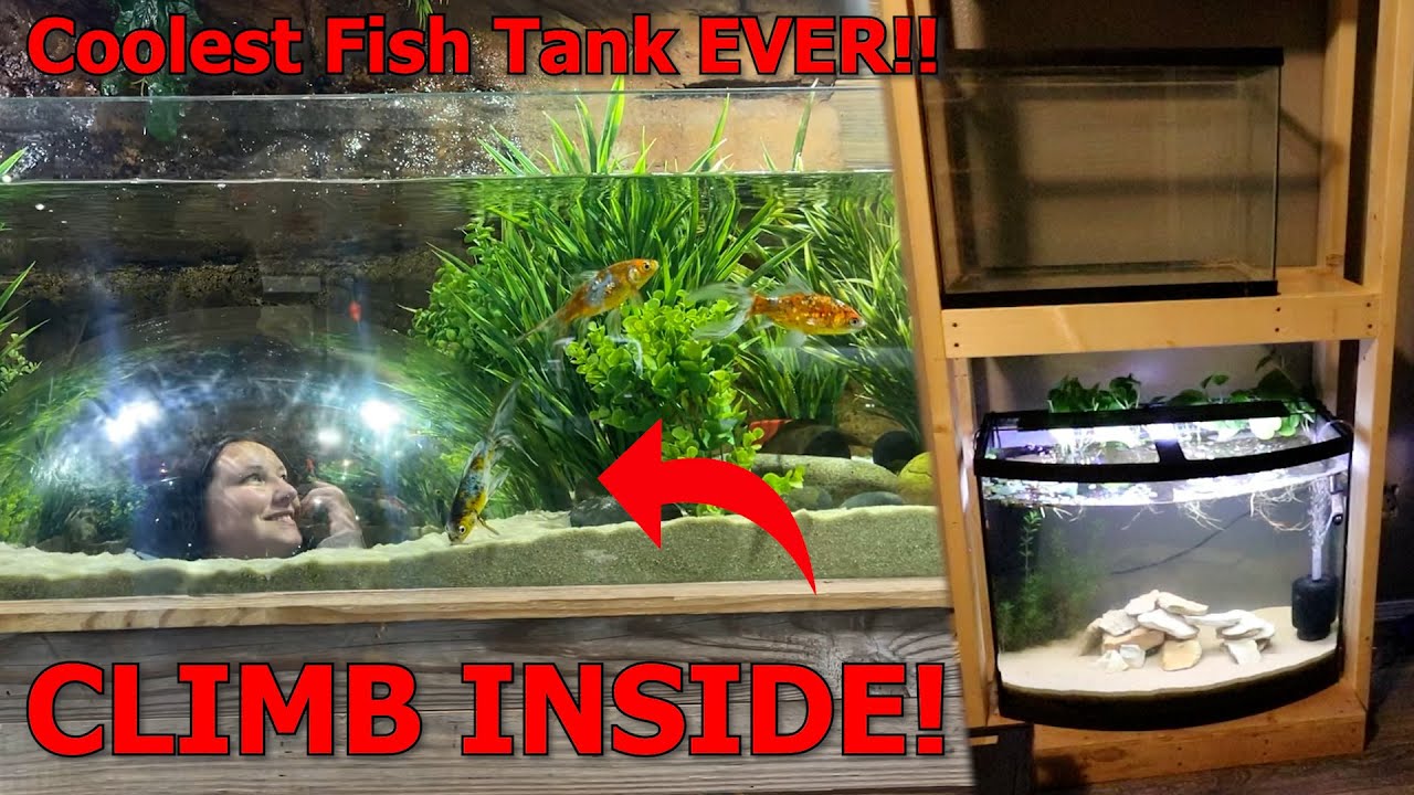 Building A Fish Aquarium Rack in my Room And Awesome Fish Store - YouTube