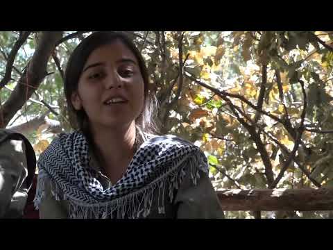 (Tu herbijî aferim berxwedana cizîrê navê serxwebûnya we) Her bijî ji hêza YPJ Ê re her hebin 