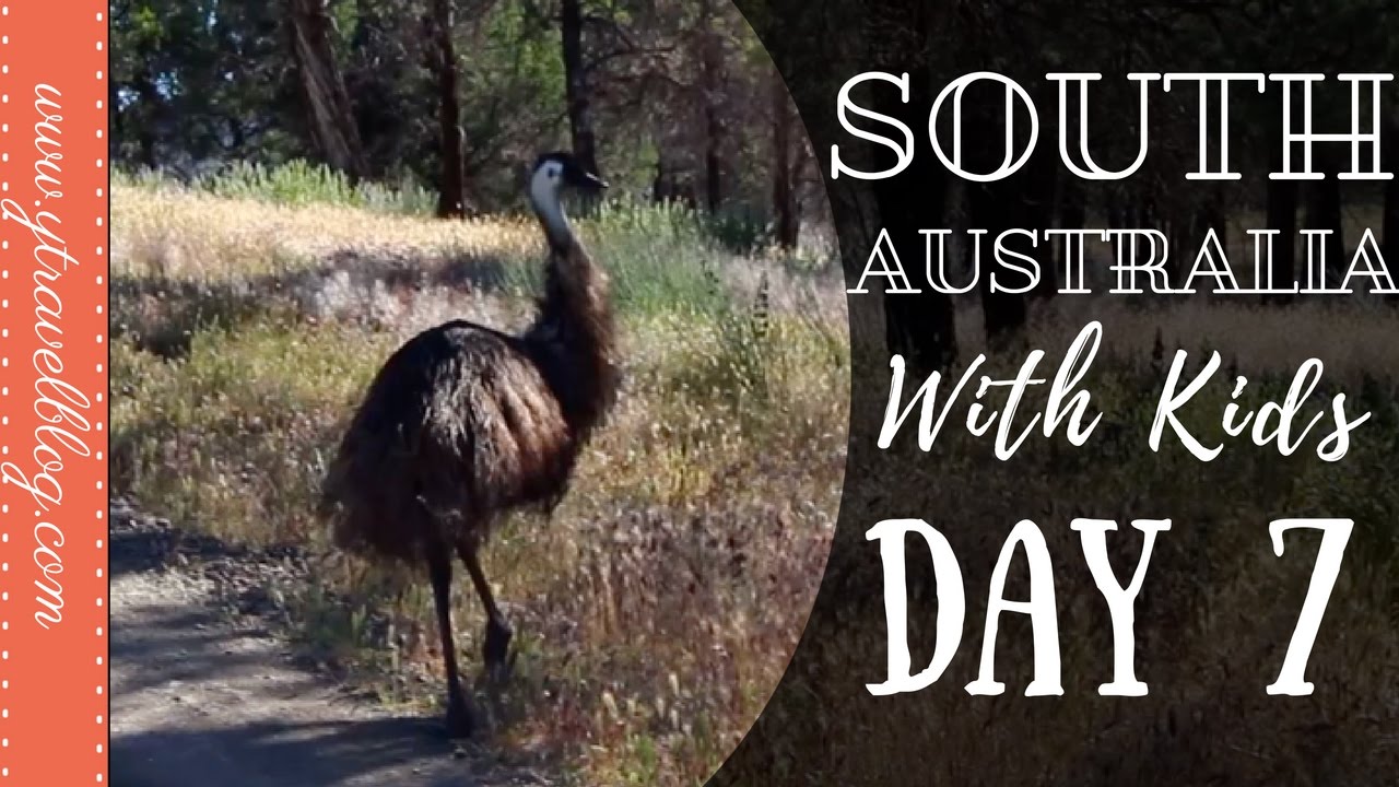 Sacred Canyon Tour With Kids | Flinders Rangers National Park - YouTube