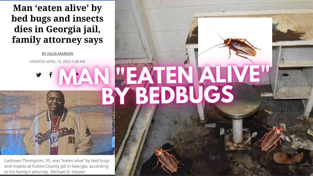 Man “Eaten Alive” by Bedbugs in Jail l LaShawn Thompson Story ...